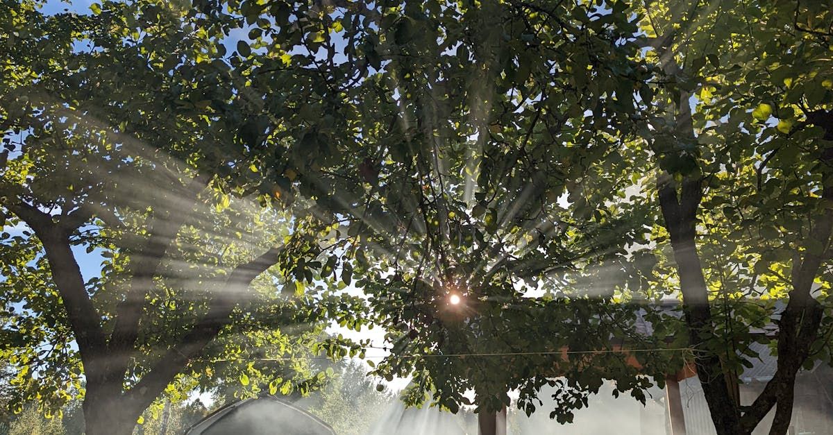 5 Tree Service Website Templates + Security Considerations and Features ...